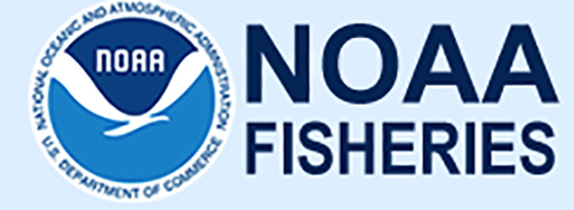 NMFS grants to aid marine mammal programs | National Fisherman