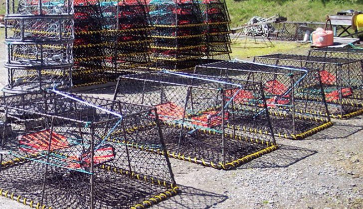 Q&A: Catch a pot of blackcod | National Fisherman